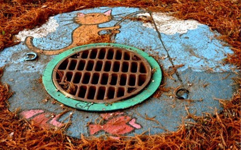 Cesspool vs Septic Tank: What Are the Differences? - Enroute Editor